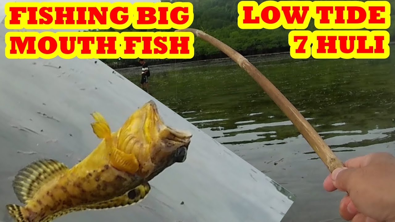 Fishing Tabangaka During Low Tide l Bingwit Sa Hibasan - YouTube