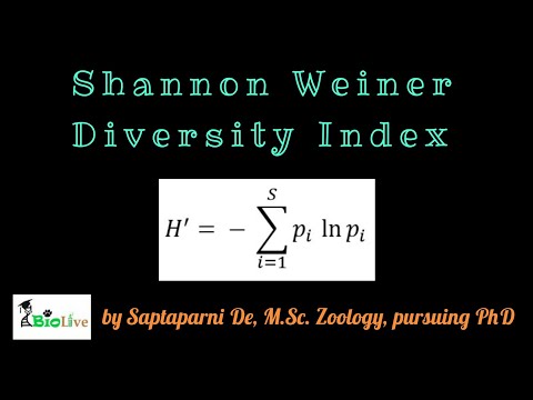 How To Rank Biodiversity Shannon Index