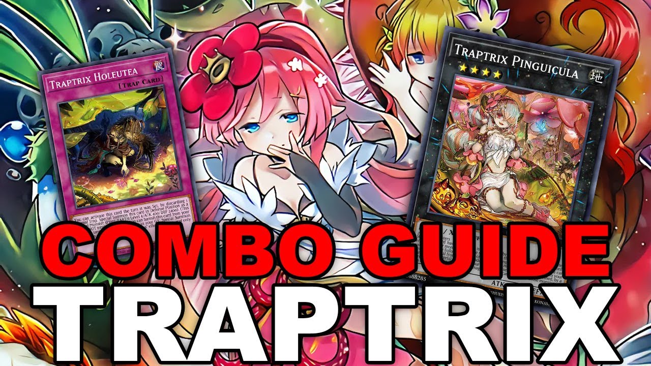 NEW TRAPTRIX! The ULTIMATE Traptrix Combo Guide + Decklist! (Yu-Gi-Oh ...