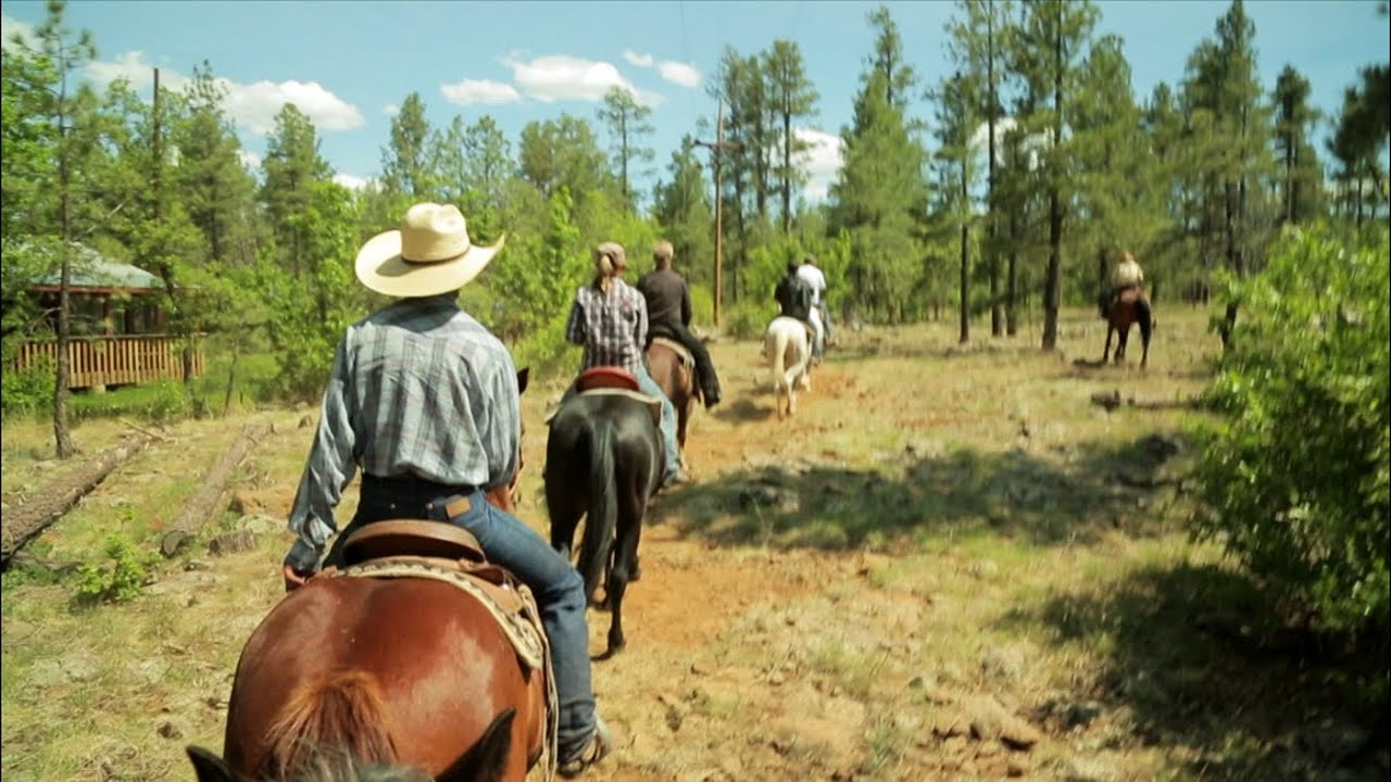 AZ High Mountain Trail Rides - YouTube