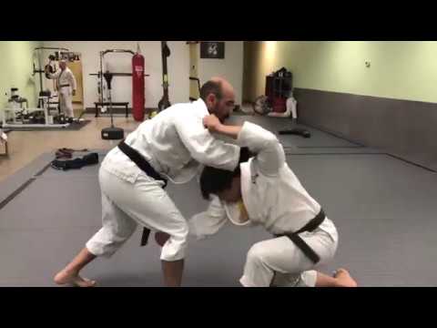 Kata For Fighting | Applications With The Practical Karate Gi v2.0 ...