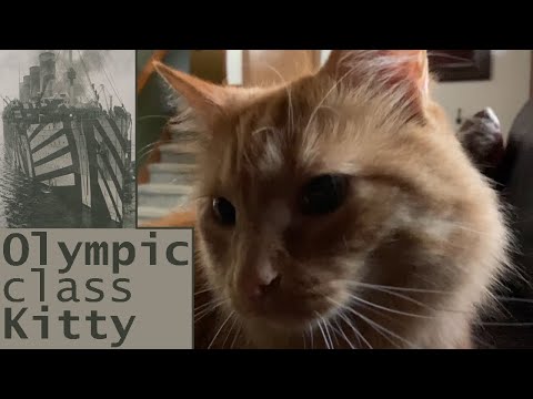 Olympic Class Kitty - YouTube