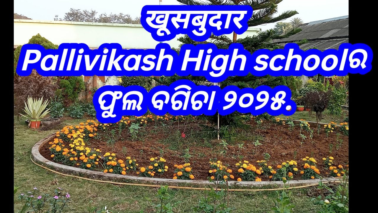 February 2, 2025 - YouTube