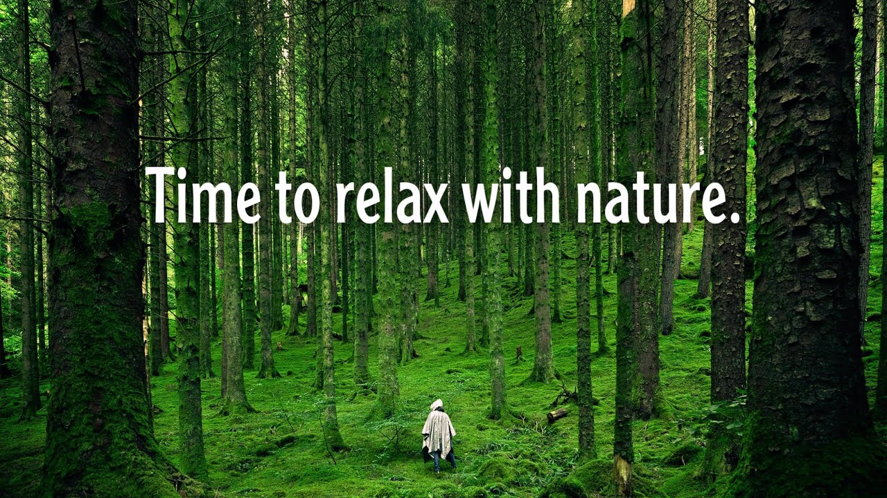Sleep and relaxation .Time to relax with nature.Relaxing. - YouTube