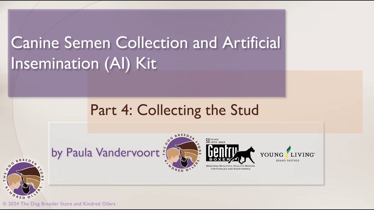 Video 4 – Collecting the Stud - YouTube