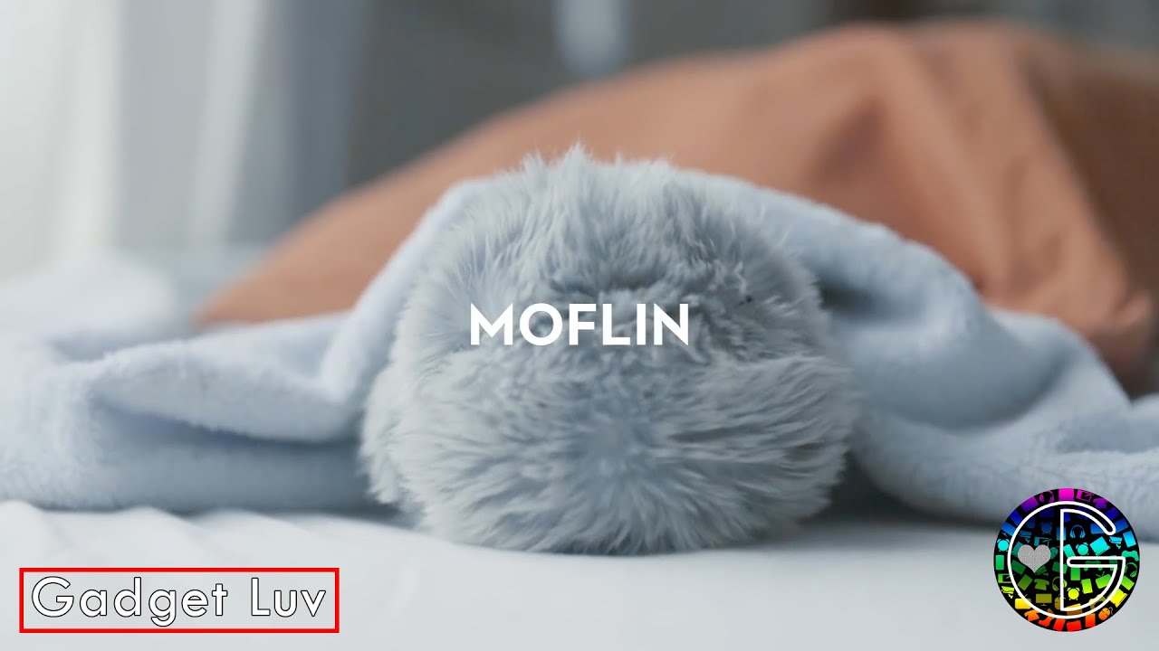 | GADGET LUV | Moflin - An AI Pet with Emotional Capabilities - YouTube