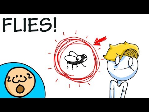 FLIES!!!