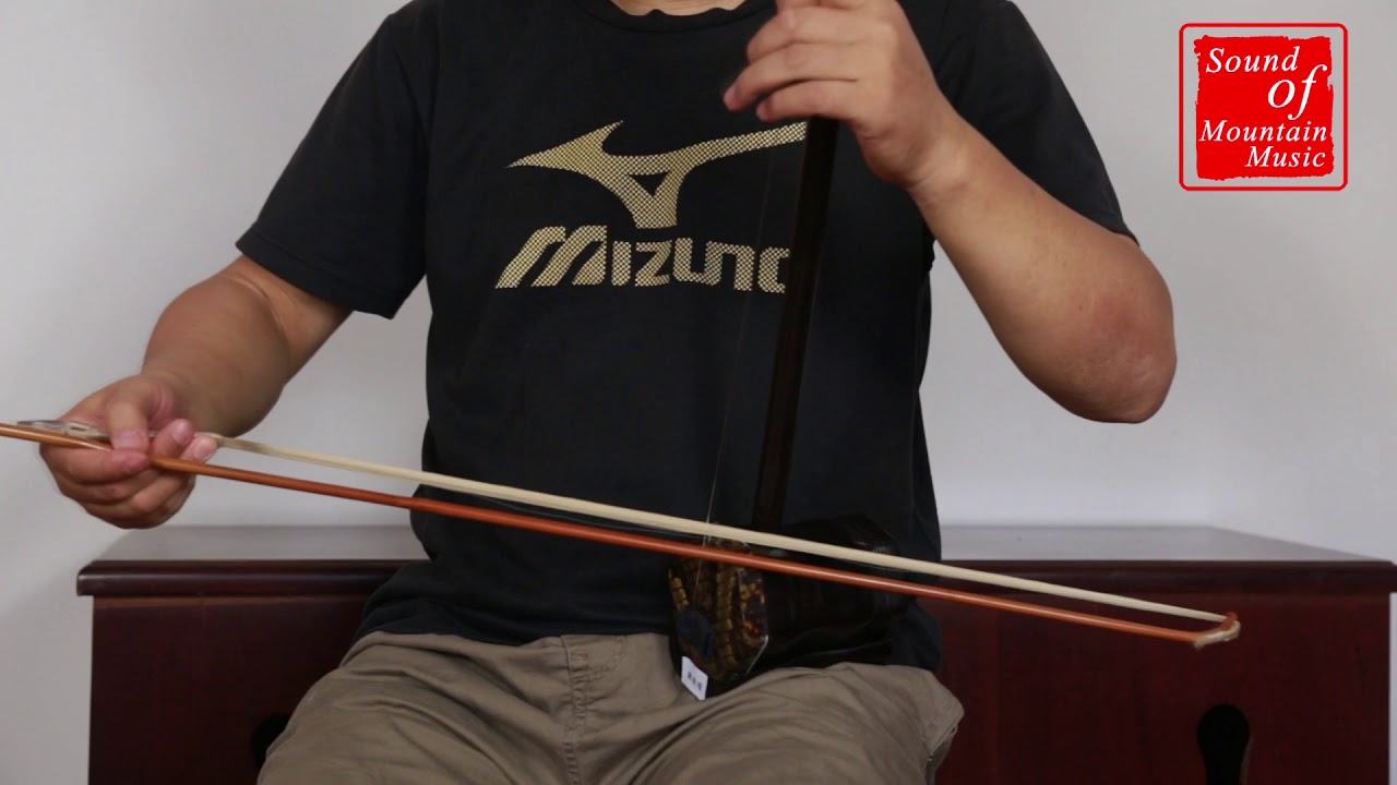 Professional Black Sandalwood Erhu Instrument Chinese Violin Fiddle ...