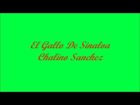 El Gallo De Sinaloa (The Rooster From Sinaloa) - Chalino Sanchez (Letra ...