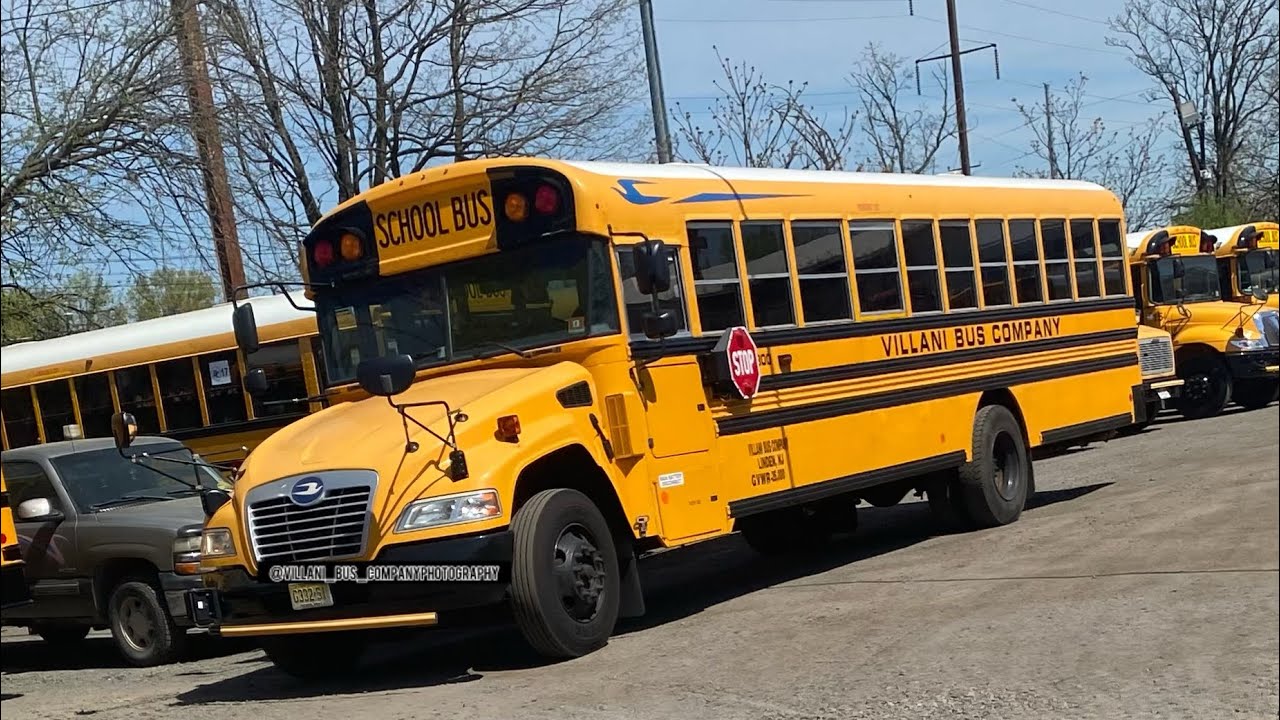 Driving in a 2019 Bluebird Vision Gasoline Afternoon ride Bus 300 - YouTube