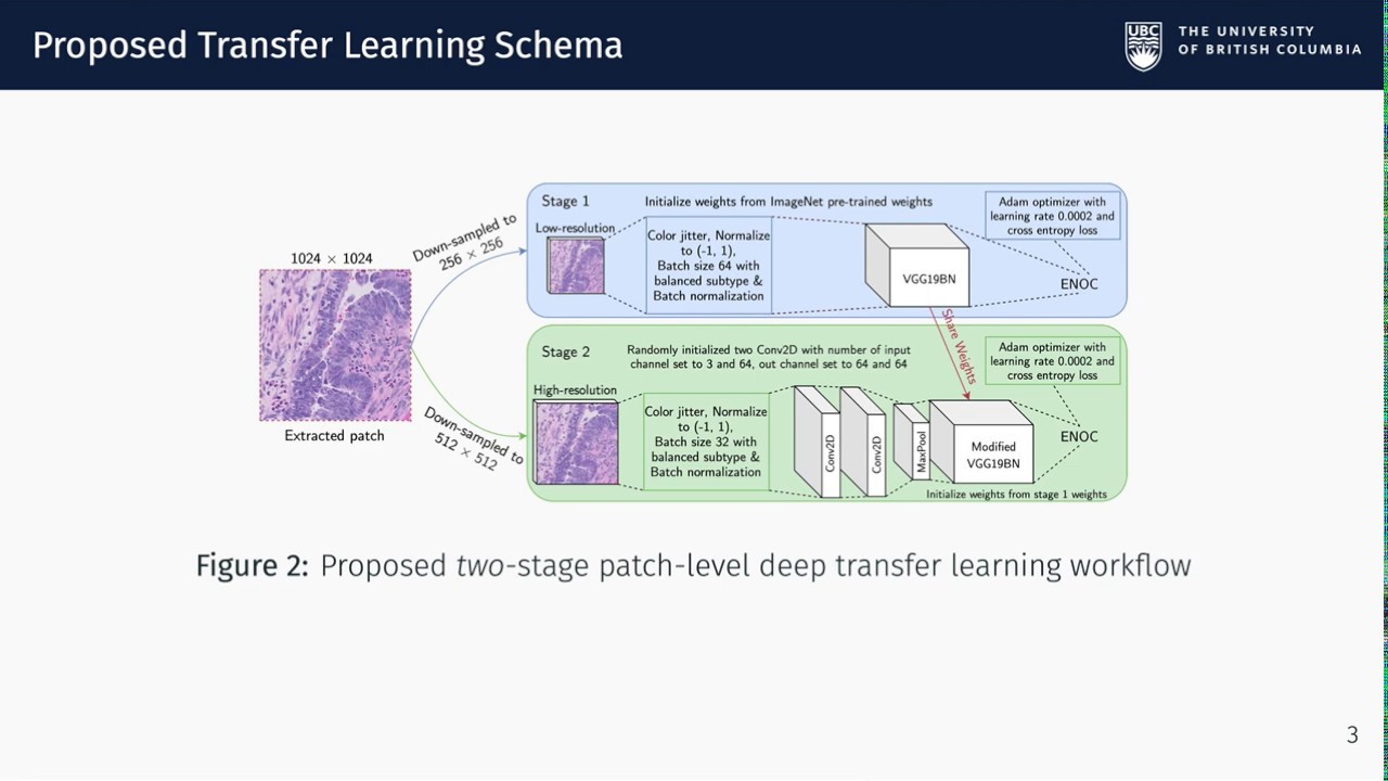 MIDL 2020, S104, Wang et al. Short presentation - YouTube
