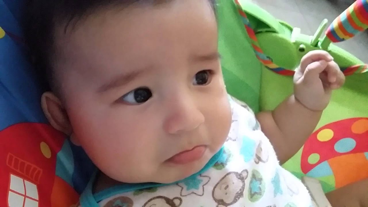 Bebito bebito bebito en aceite 😙 - YouTube