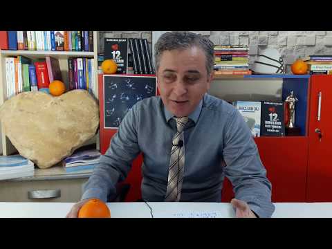 KOVA BURCU VE BALIK BURCU UYUMU