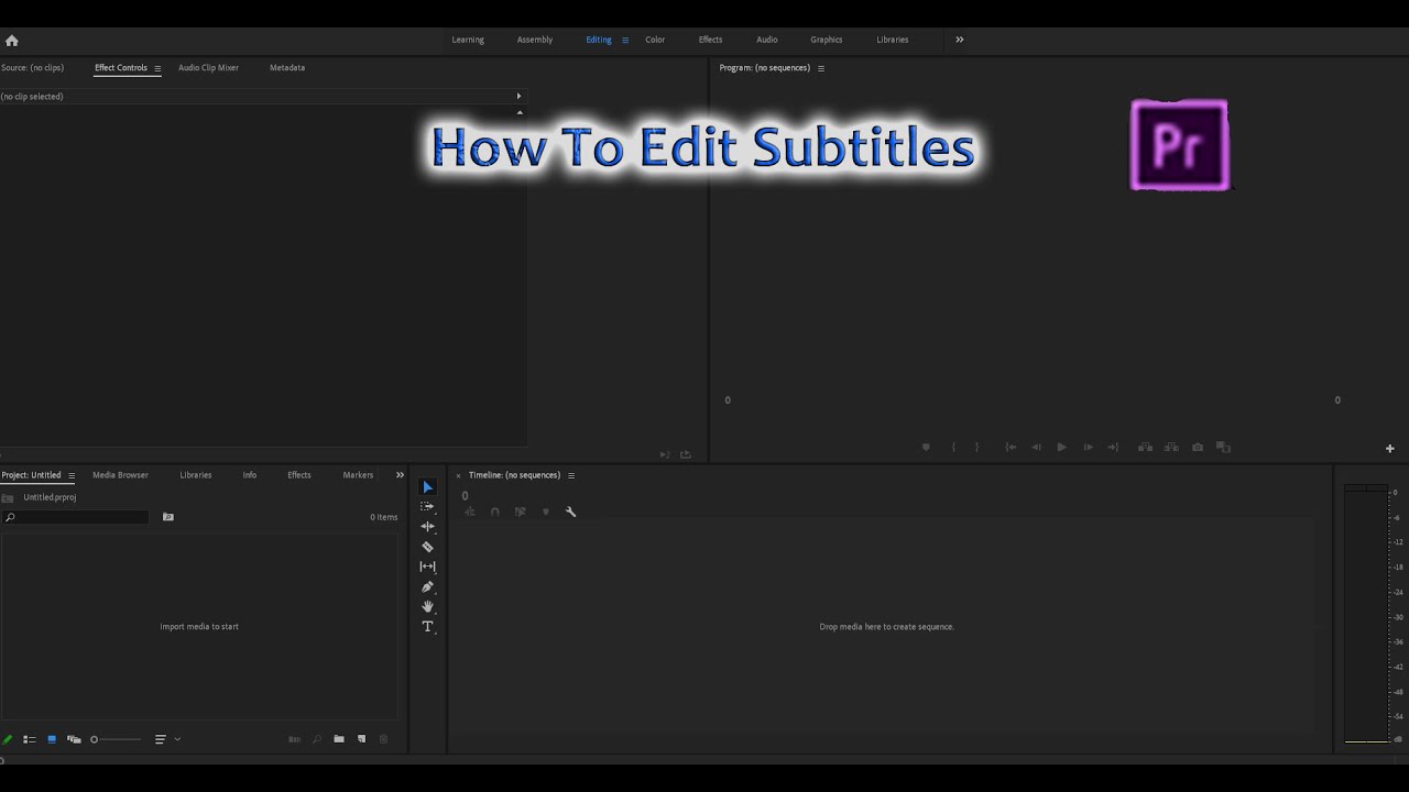 How To Edit Subtitles Like Crazy!!! (Premiere Pro) - YouTube