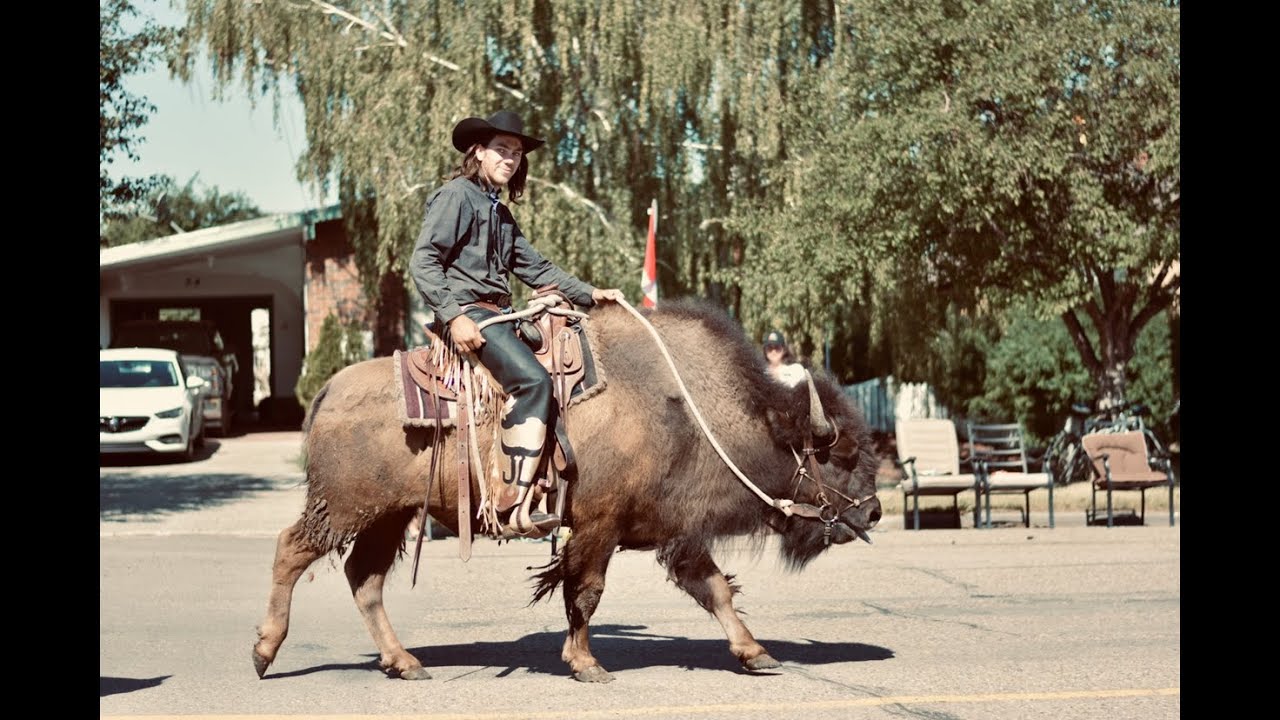 Buffalo Rider On Canada Day! - YouTube