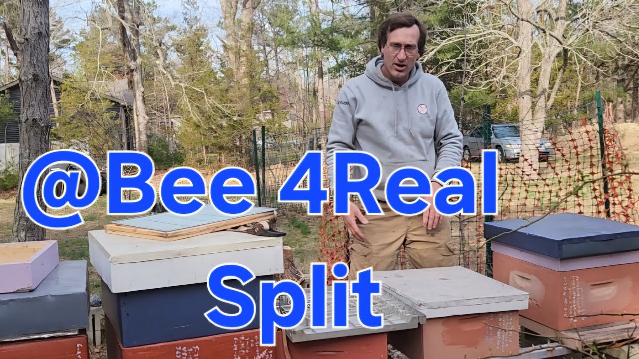 Spontaneous Spit - @Bee 4Real #Beekeeping - YouTube