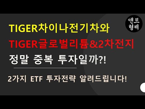 tiger 차이나전기차solactive etf vs tiger 글로벌리튬&2차전지solactive etf 전격비교! !정말 중복투자일까?! (중국 전기차 해외etf 2차전지 ...