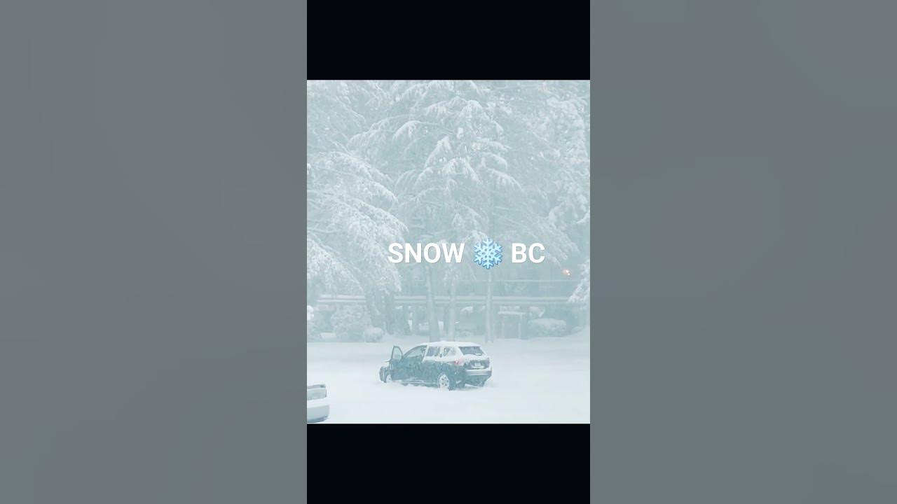 #snow #bccanada #shortvideo - YouTube