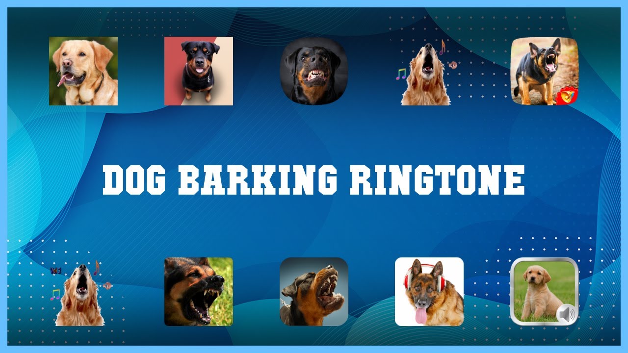 Best 10 Dog Barking Ringtone Android Apps - YouTube