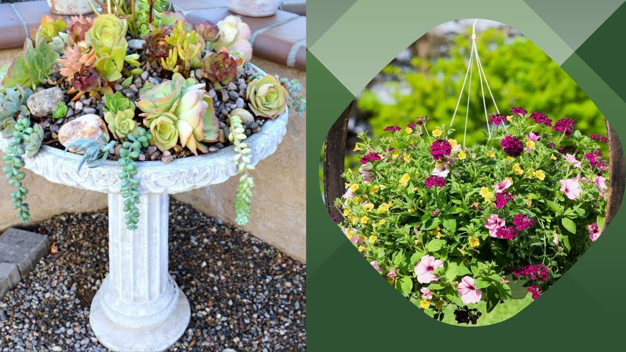 Easy Ways to Add Color to Your Garden | Garden Design Tips - YouTube