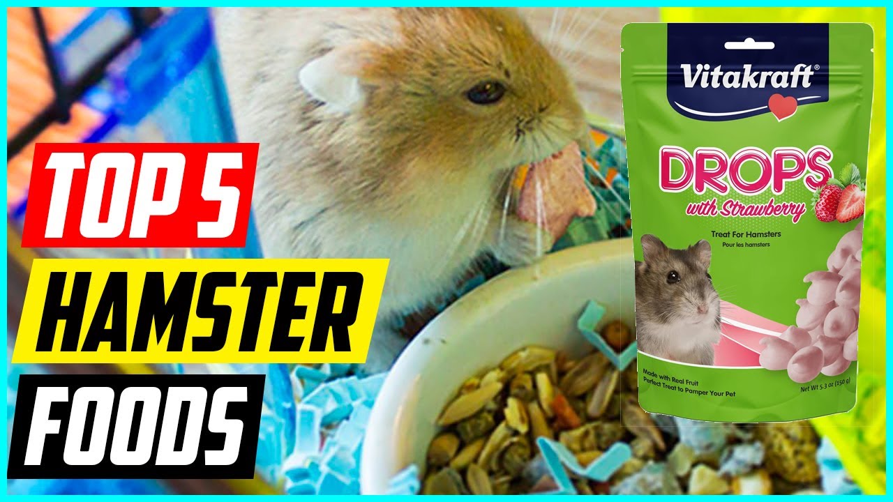 5 Best Hamster Food | Hamster Foods Review - YouTube
