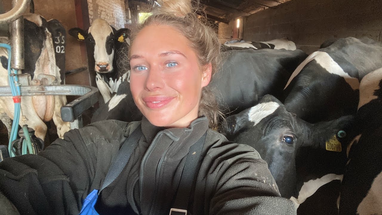 Busy morning with the cows 🐮 | Evie Gibbons | The Content Farm