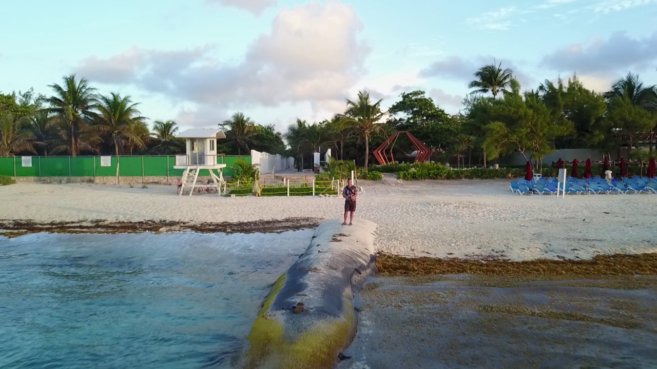 PLAYA XCALACOCO, PLAYA DEL CARMEN - YouTube