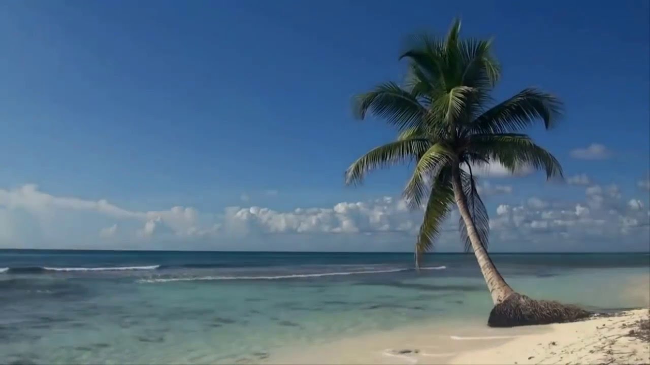 VERY BEAUTIFUL SEA BEACH - YouTube