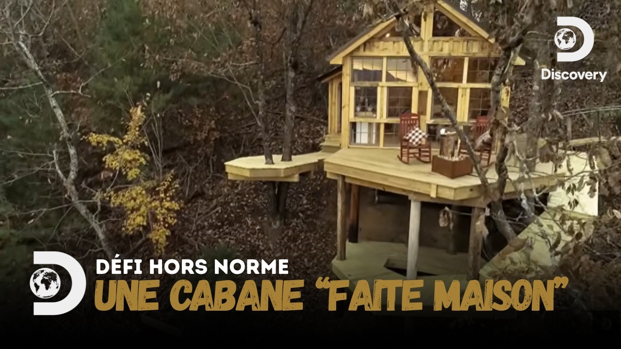 Vivre hors réseau : le pari fou d’une maison dans les arbres ...