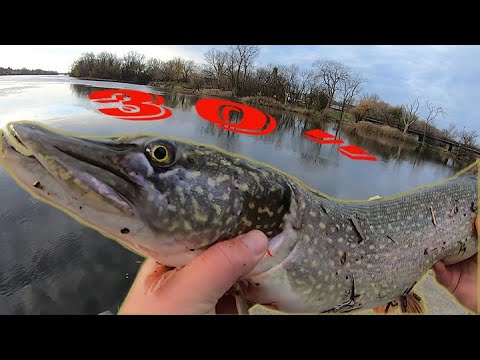 Bank fishing the Mohawk river and Hudson river, awesome time!! - YouTube