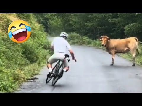 TENTE NÃO RIR 😂😁 Compilado De Momentos Engraçados Virais Da Internet 2025 #24