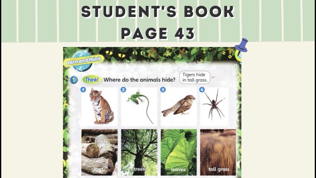 YEAR 1 PAGE 43 ANIMALS AND THEIR HIDING PLACE | SUPERMINDS STUDENT'S ...
