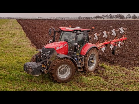 Nový Case IH Puma 240 CVX AFS Connect |Podzimní orba 2025