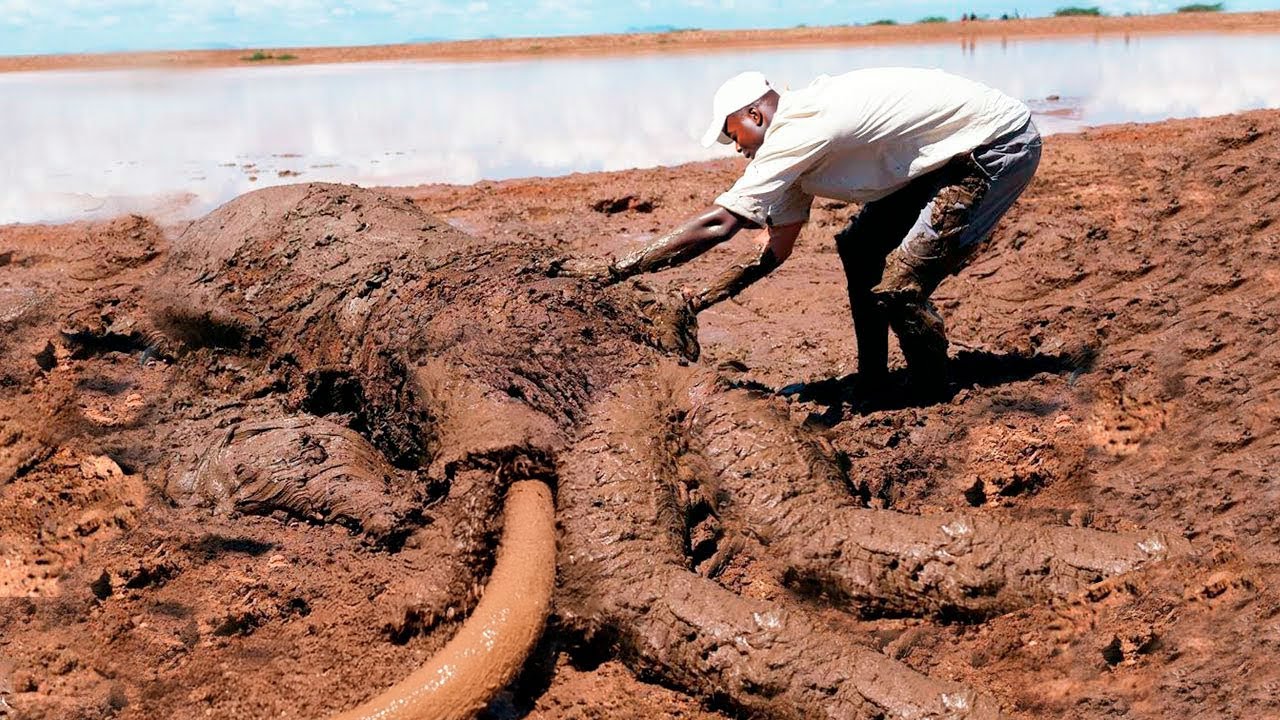 Man Notices Ground Moving Under His Feet - What He Discovered Will ...