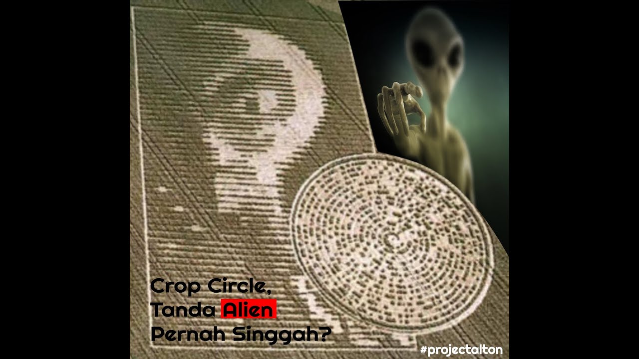 CROP CIRCLE Sebuah Pesan Dari ALIEN - YouTube