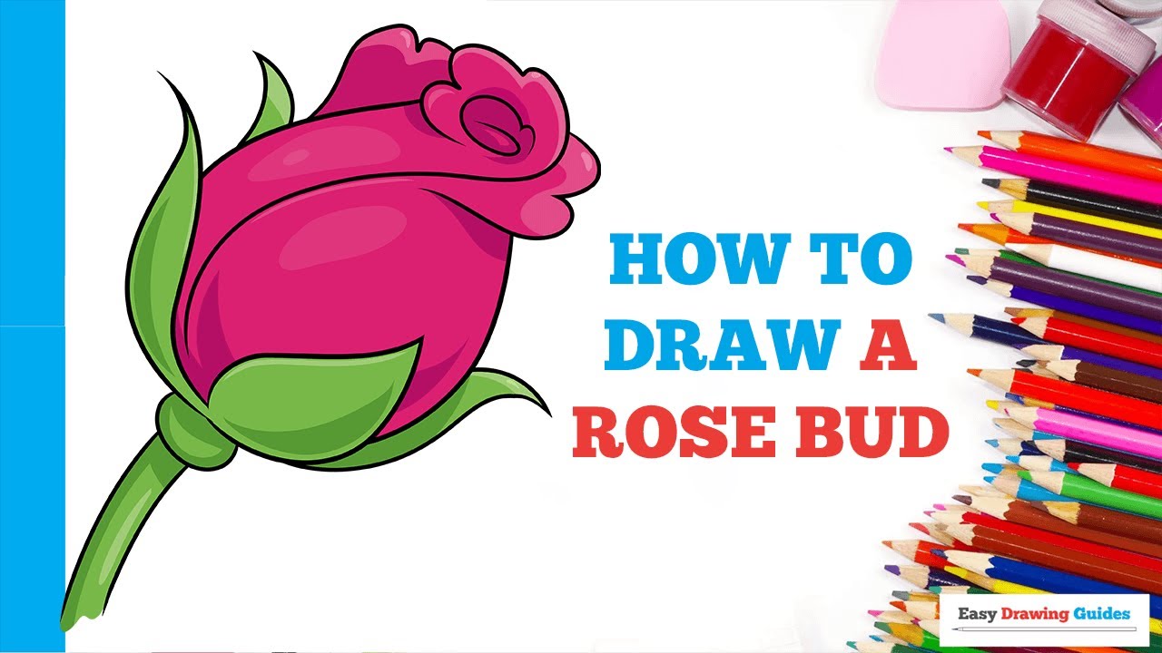 How to Draw a Rose Bud in a Few Easy Steps: Drawing Tutorial for ...