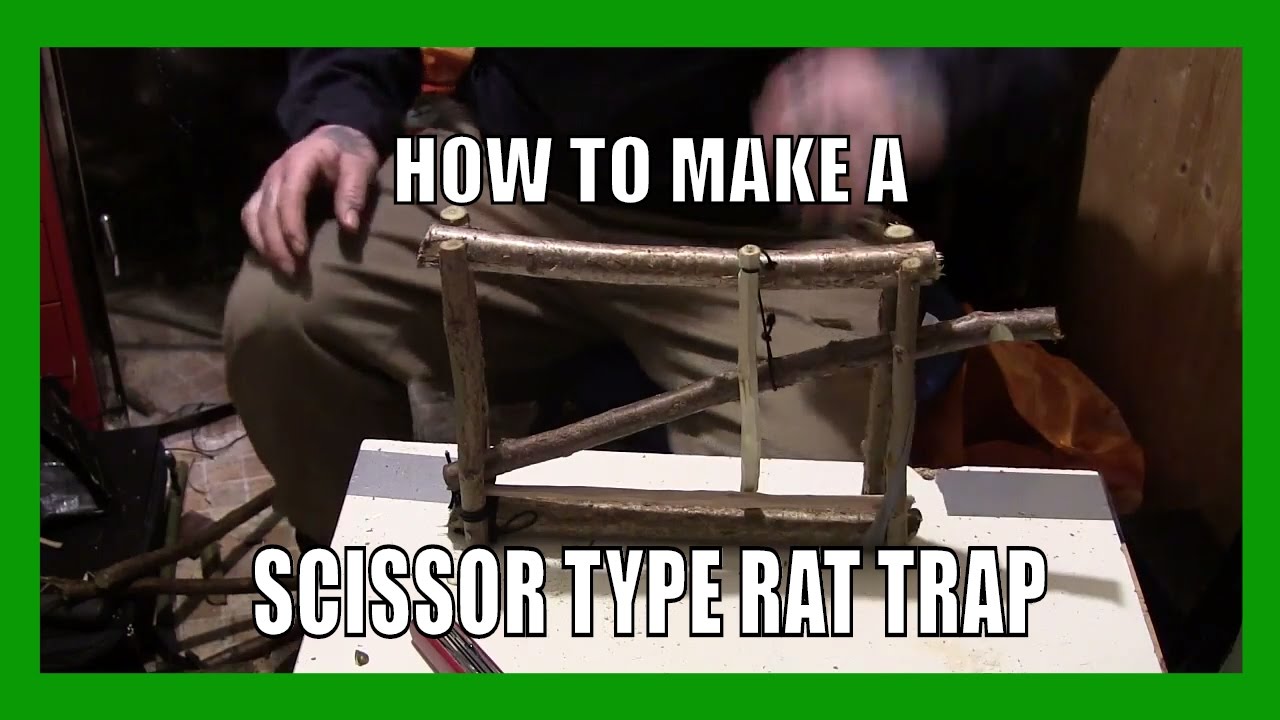 Scissor Type Rat Trap - YouTube