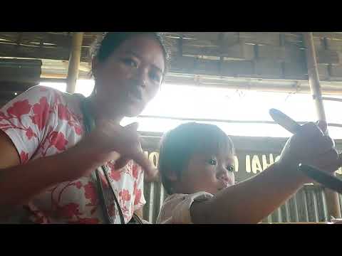 Baby Zenith multiple videos(3) - YouTube