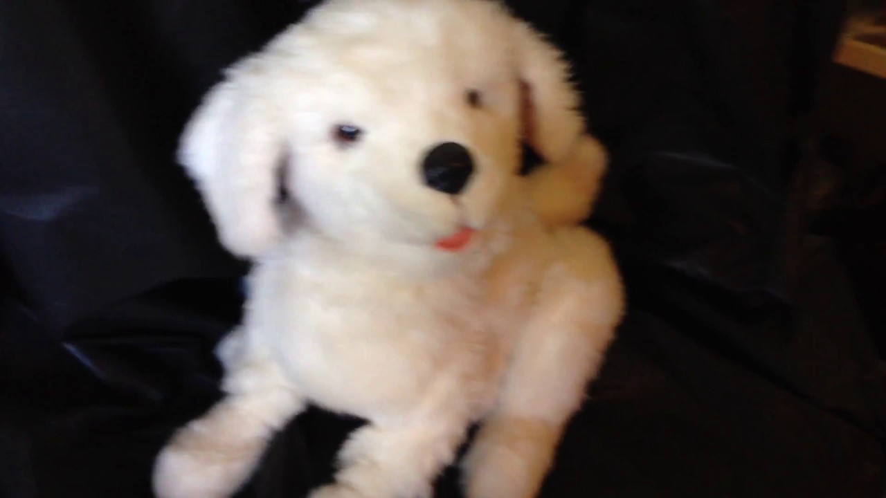 FurReal Cookie 2017 - YouTube