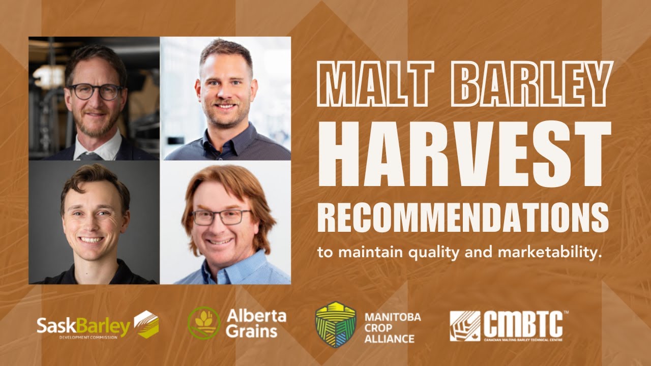 Harvest Management Tips for Malt Quality Barley | Expert Agronomic ...