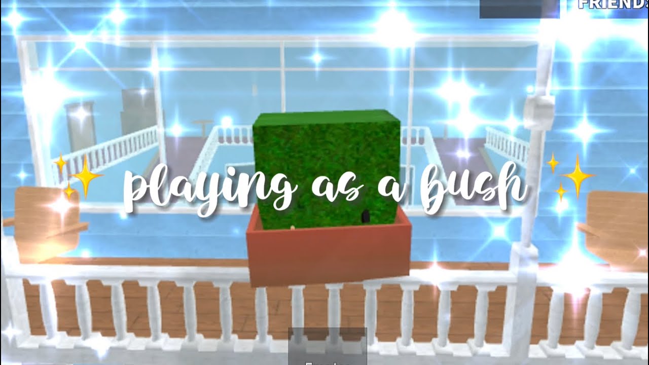 Playing Mm2 As A Bush! - YouTube