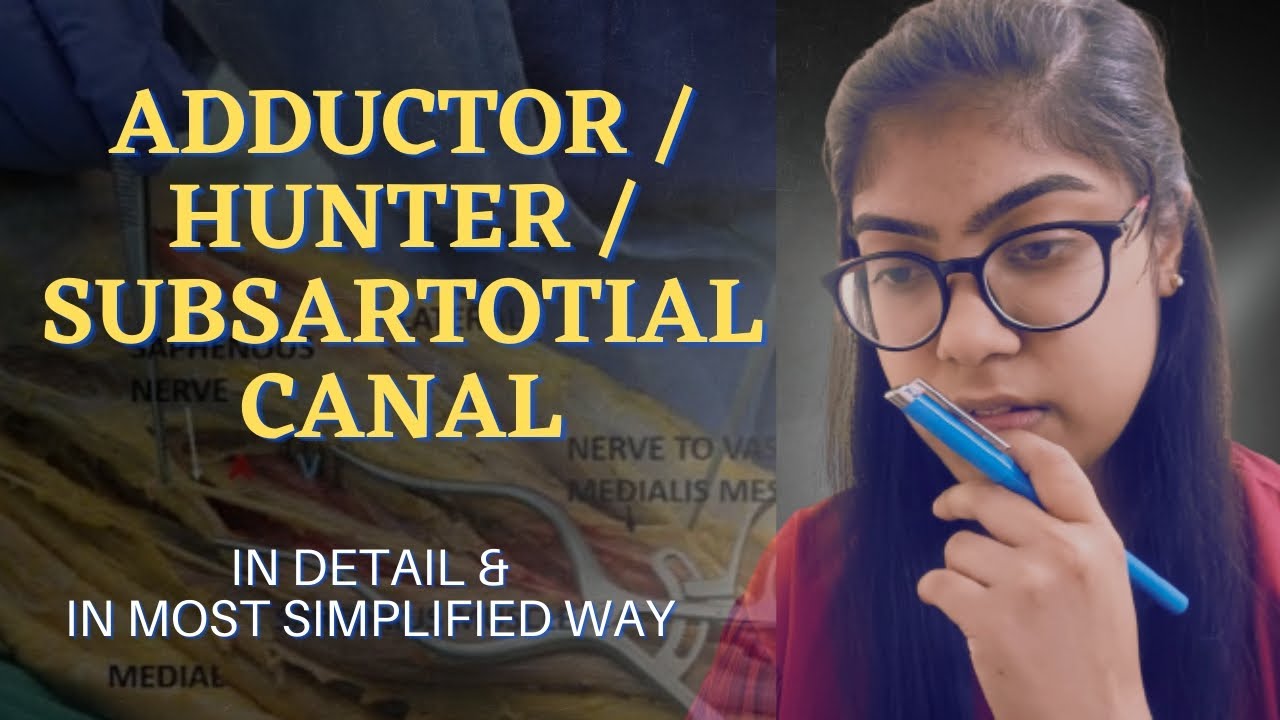 Adductor Canal / Substarorial / Hunter's Canal | Lower Limb | Anatomy # ...