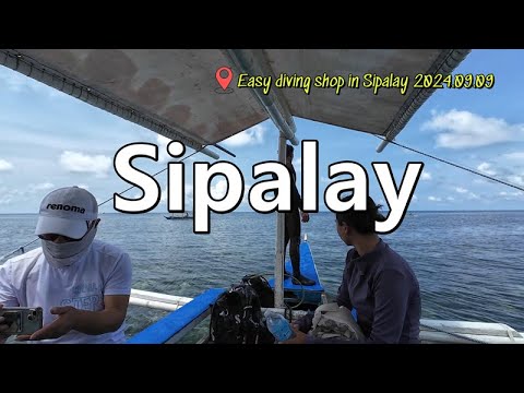 필리핀 네그로스 시팔라이 다이빙 Sipalay Diving #easy_diving 이지다이빙샵 - YouTube