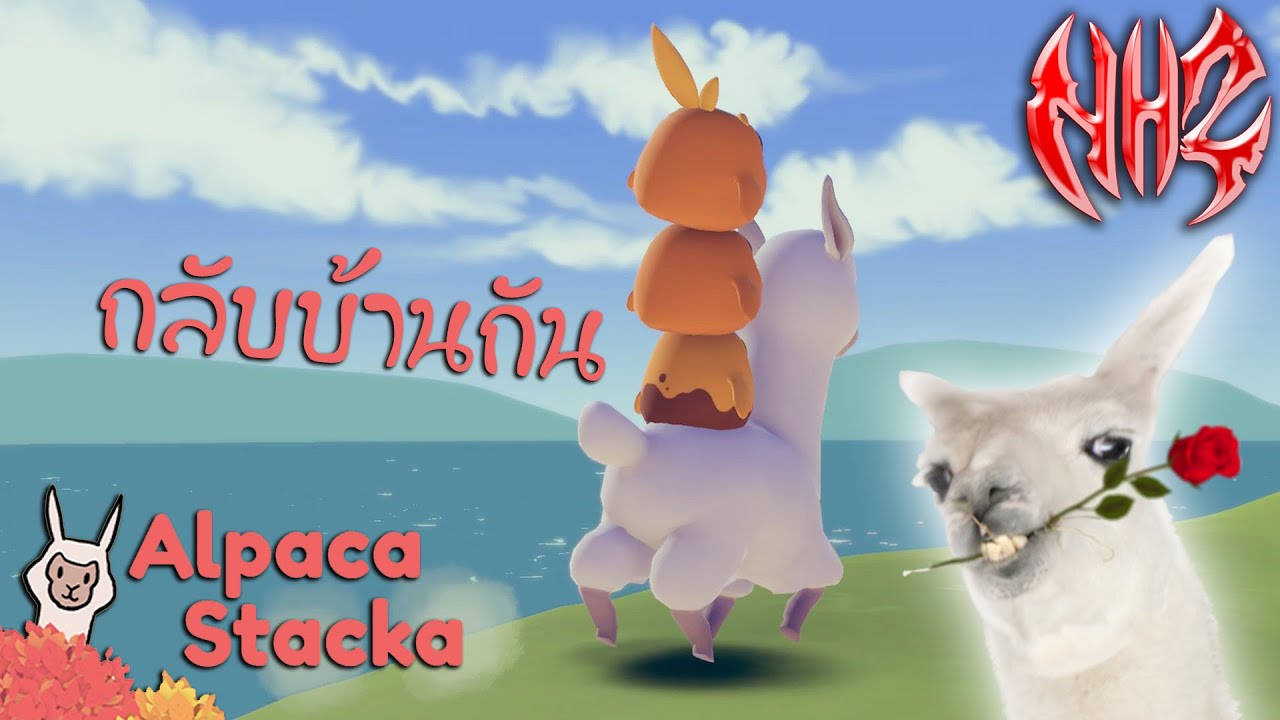 อัลปาก้า พากลับบ้าน♥ [Alpaca Stacka] - YouTube