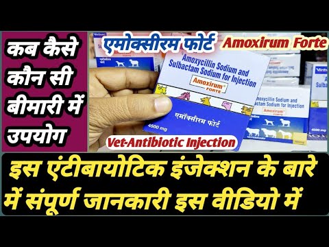 Vet-injection:-Amoxirum Forte(Amoxycillin Sodium And Sulbactum Sodium ...