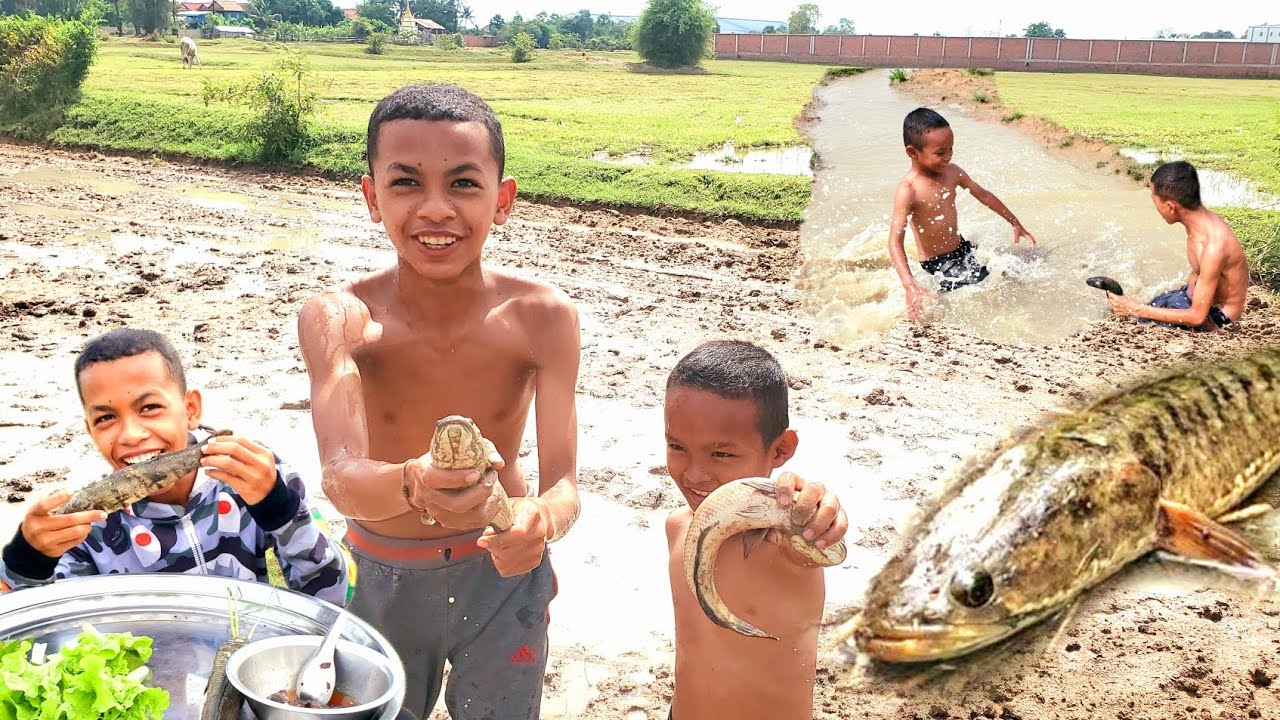 ក្មេងៗសោះចាប់ត្រីសាហាវណាស់| Caught fish survival in field| CHAMNOL JIT ...