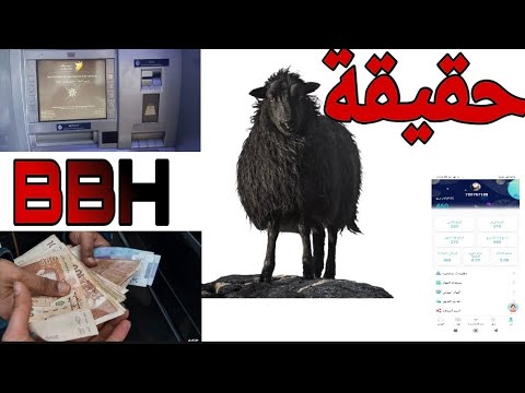 ٱصل شركة BBh وطريقة التسجيل - YouTube