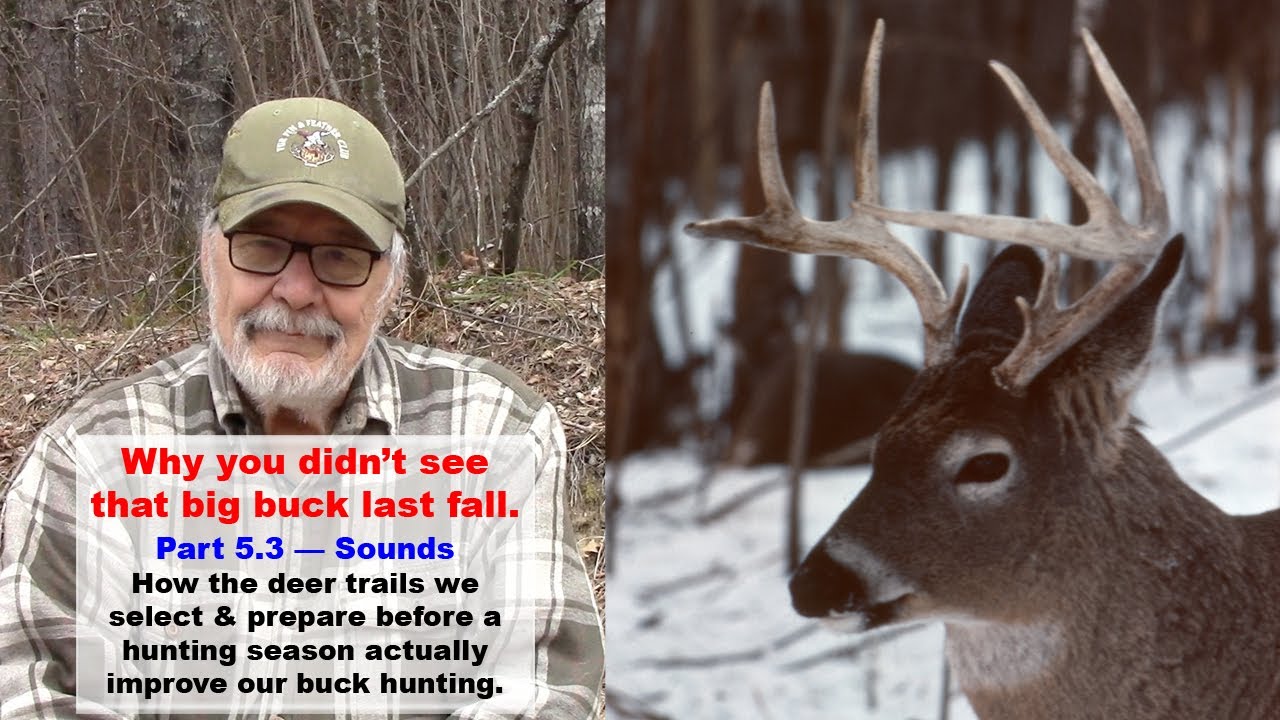 Why you didn't see that big buck last fall — Part 5.3 Sounds ...