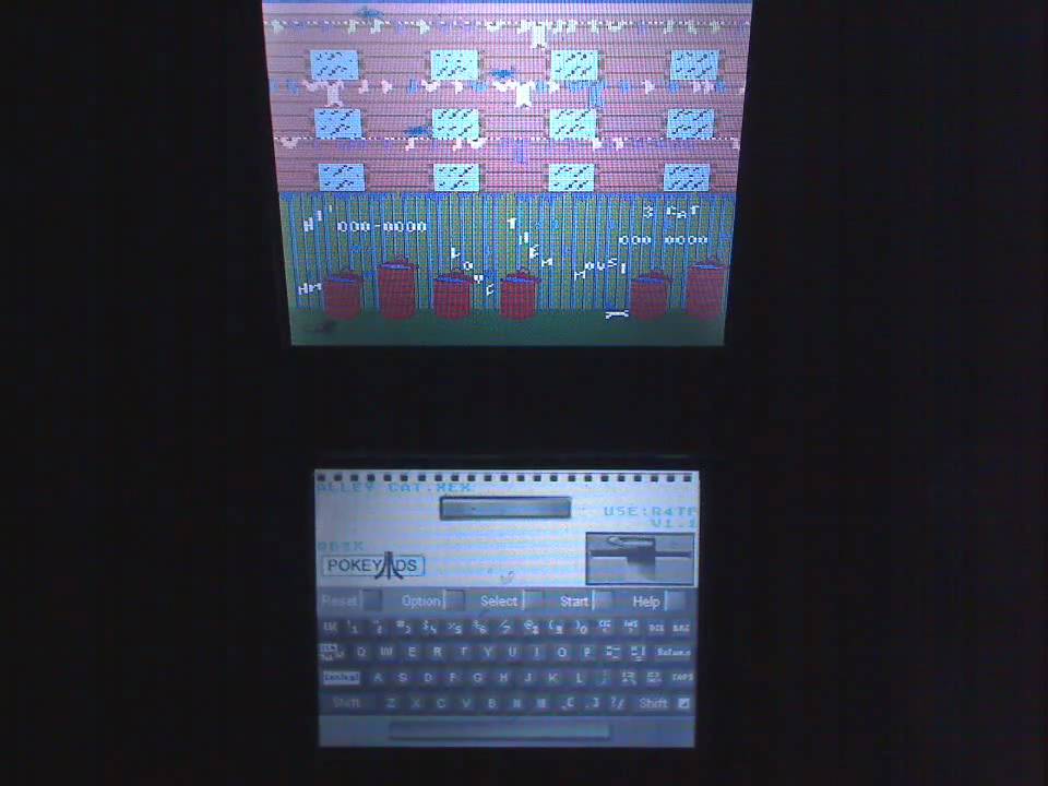 Atari 8-Bit Alley Cat on the Nintendo DS - YouTube