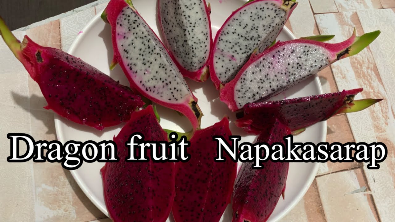 Dragon fruit subrang sarap l Cha Channel01 l - YouTube